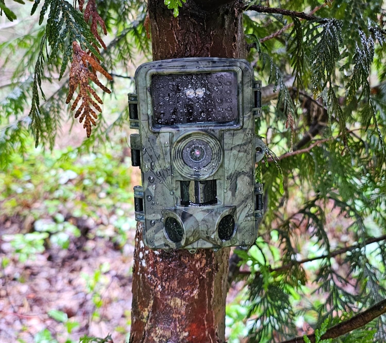 9 Tips on How to Hide a Trail Camera from Humans - WILD Trend