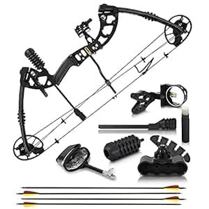 10 Best Compound Bows Under $300 for 2025 - WILD Trend