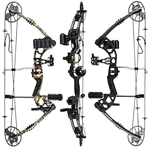 10 Best Compound Bows Under $300 for 2025 - WILD Trend