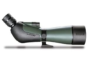 10 Best Spotting Scopes Under $1000 – Field-Tested for Clarity - WILD Trend