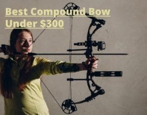 10 Best Compound Bows Under $300 (2026 Budget Picks) - WILD Trend