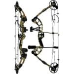 10 Best Compound Bows Under $300 for 2025 - WILD Trend