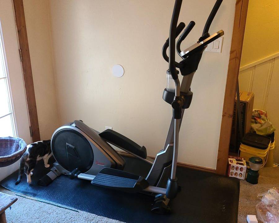 Front or Rear Drive Ellipticals: Which One to Choose - WILD Trend