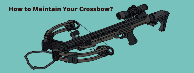 3 Simple Step to Maintain Your Crossbow - WILD Trend