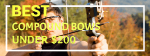 Top 5 Best Compound Bows Under $200 - WILD Trend
