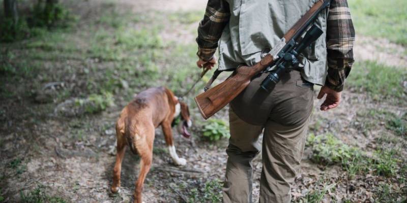 How to Make Your Hunting Dog More Obedient? - WILD Trend