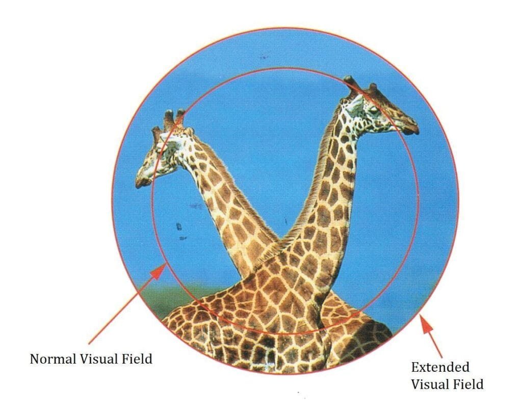 Best Spotting Scopes for 1000+ Yards - WILD Trend