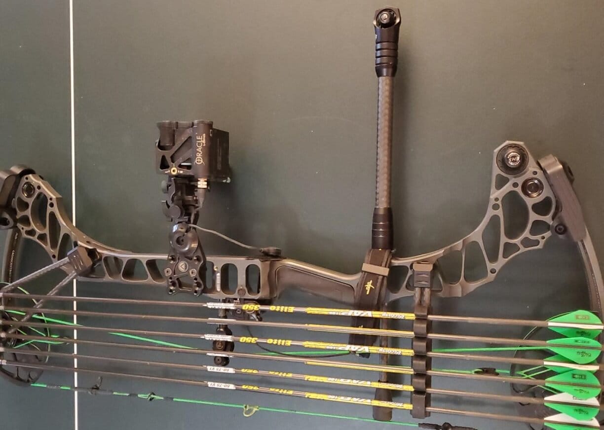 Best 3d Archery Targets of 2025 - WILD Trend