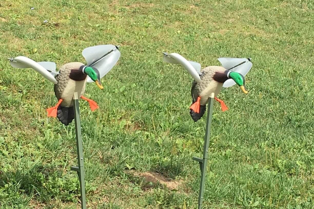 Best Duck Decoys 2026 – Top 8 Picks - WILD Trend