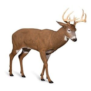 Best Deer Decoys for Hunting in 2026 (7 Realistic Picks That Work ...