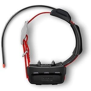 The 7 Best GPS Dog Collars for Hunting - WILD Trend