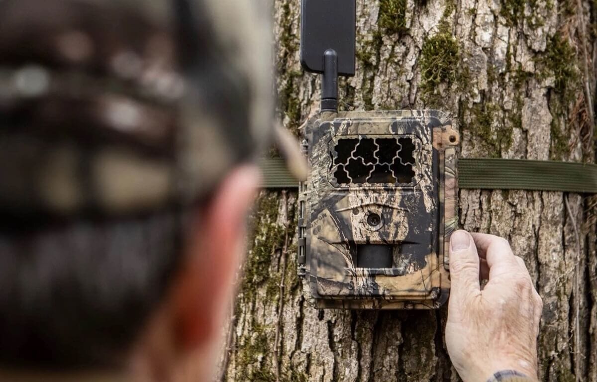 Perfect Trail Camera Placements for Big Buck Success - WILD Trend