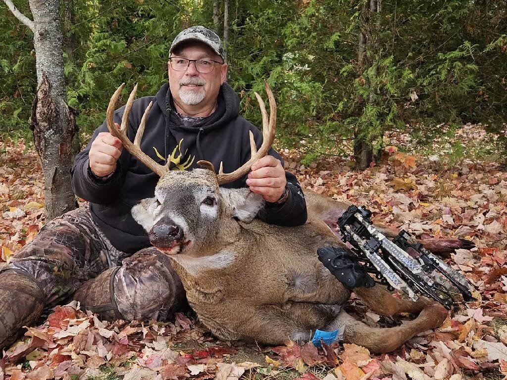 Bear Archery Whitetail INT RTH Review: Still Best Value in 2026? - WILD ...