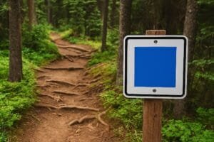 MTB Trail Signs and Ratings Explained - WILD Trend