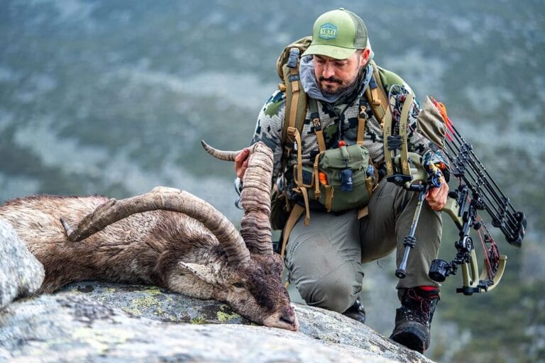 7 Best Compound Bows for Deer Hunting (2026 Tested & Ranked) - WILD Trend